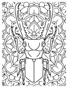 Insect Coloring Pages: Dive into Detail