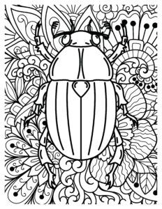 Insect Coloring Pages: Dive into Detail
