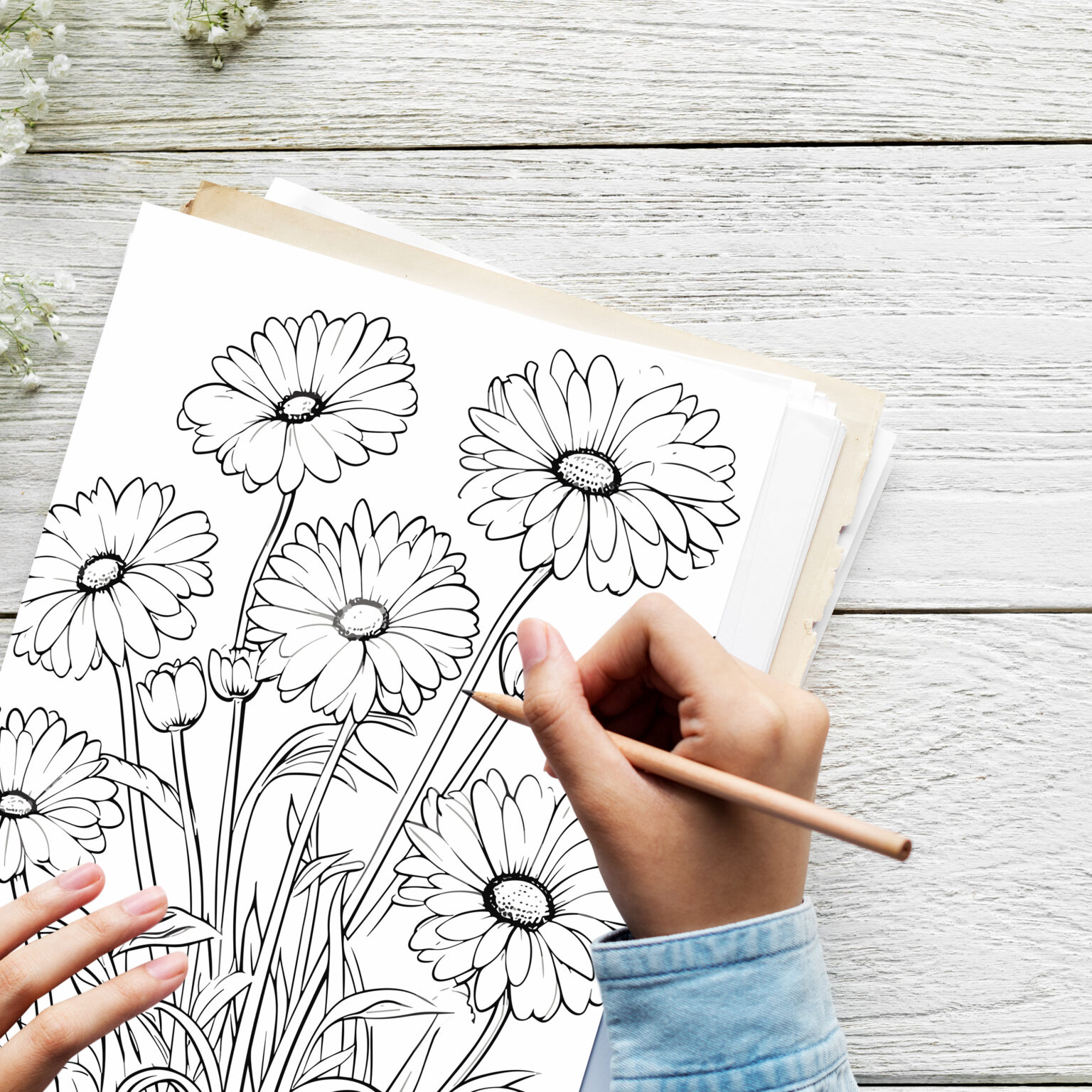 Wildflowers Coloring Pages | Dive into Nature's Palette