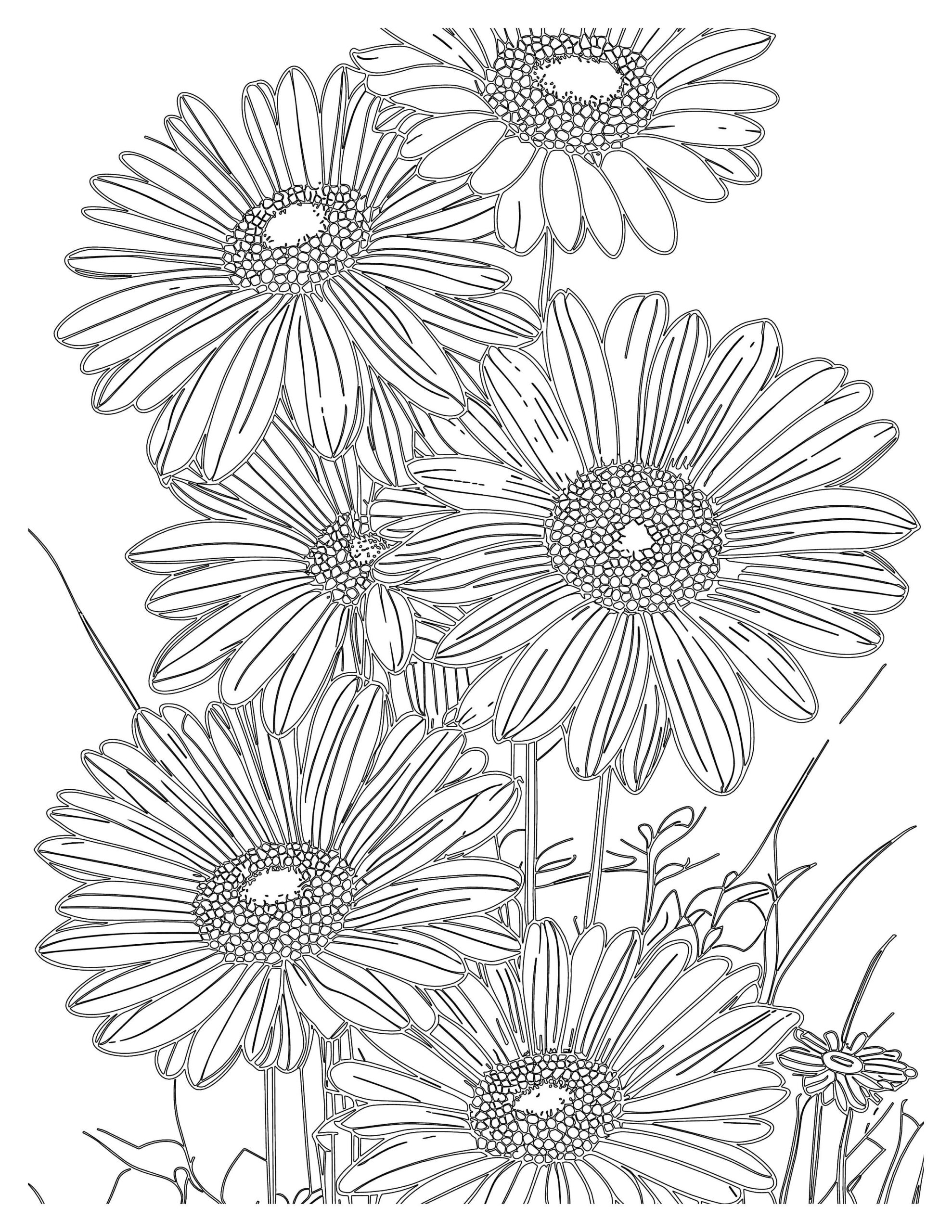 Wildflowers Coloring Pages | Dive into Nature's Palette