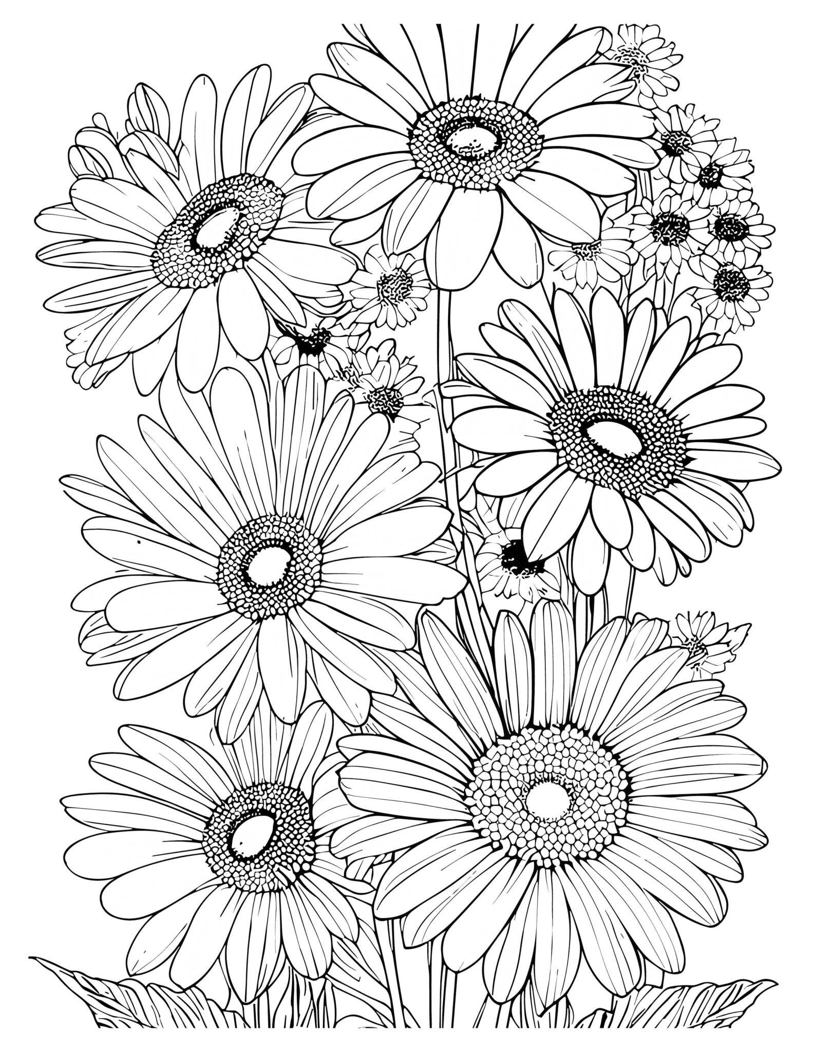 Wildflowers Coloring Pages | Dive into Nature's Palette