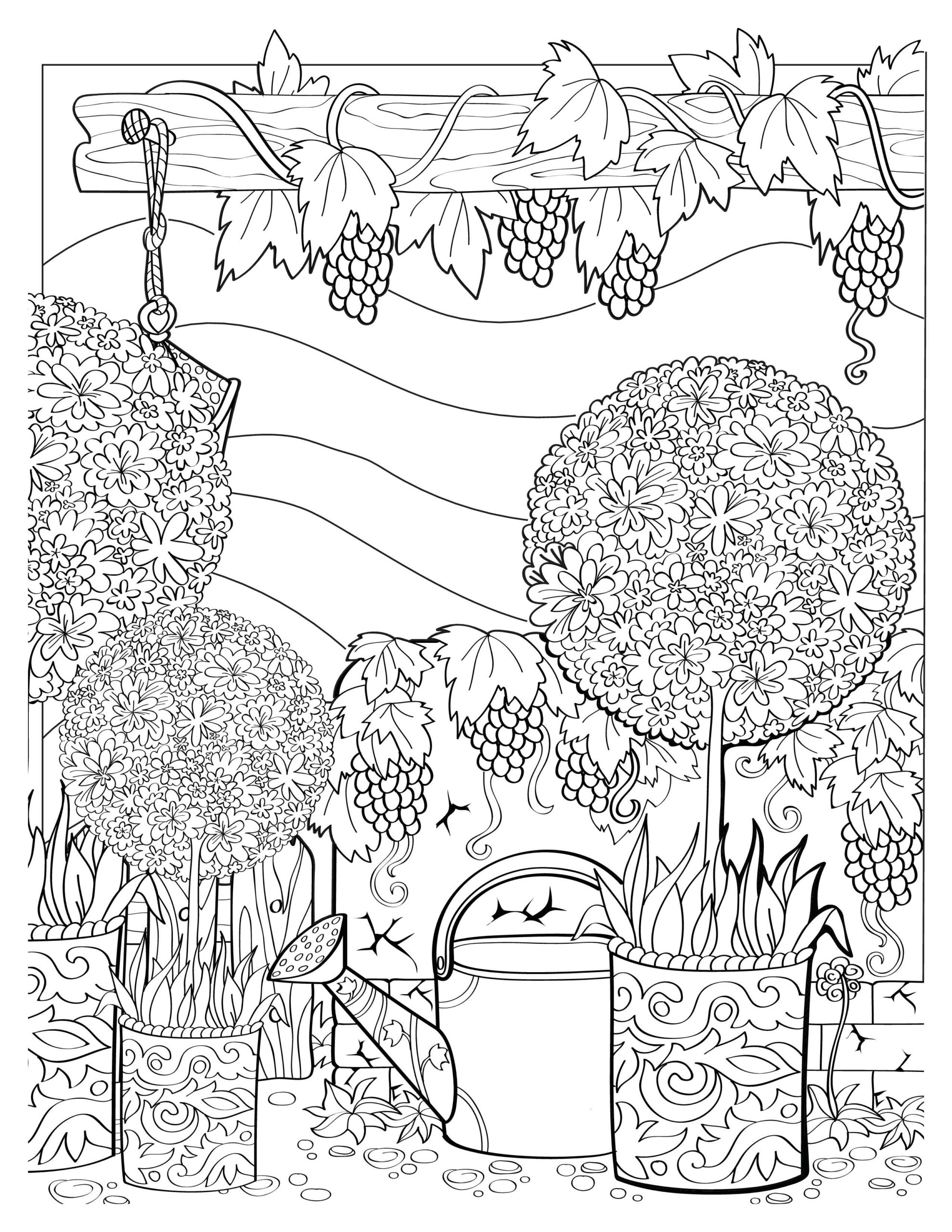 Zen Garden Coloring Page | Relax & Create