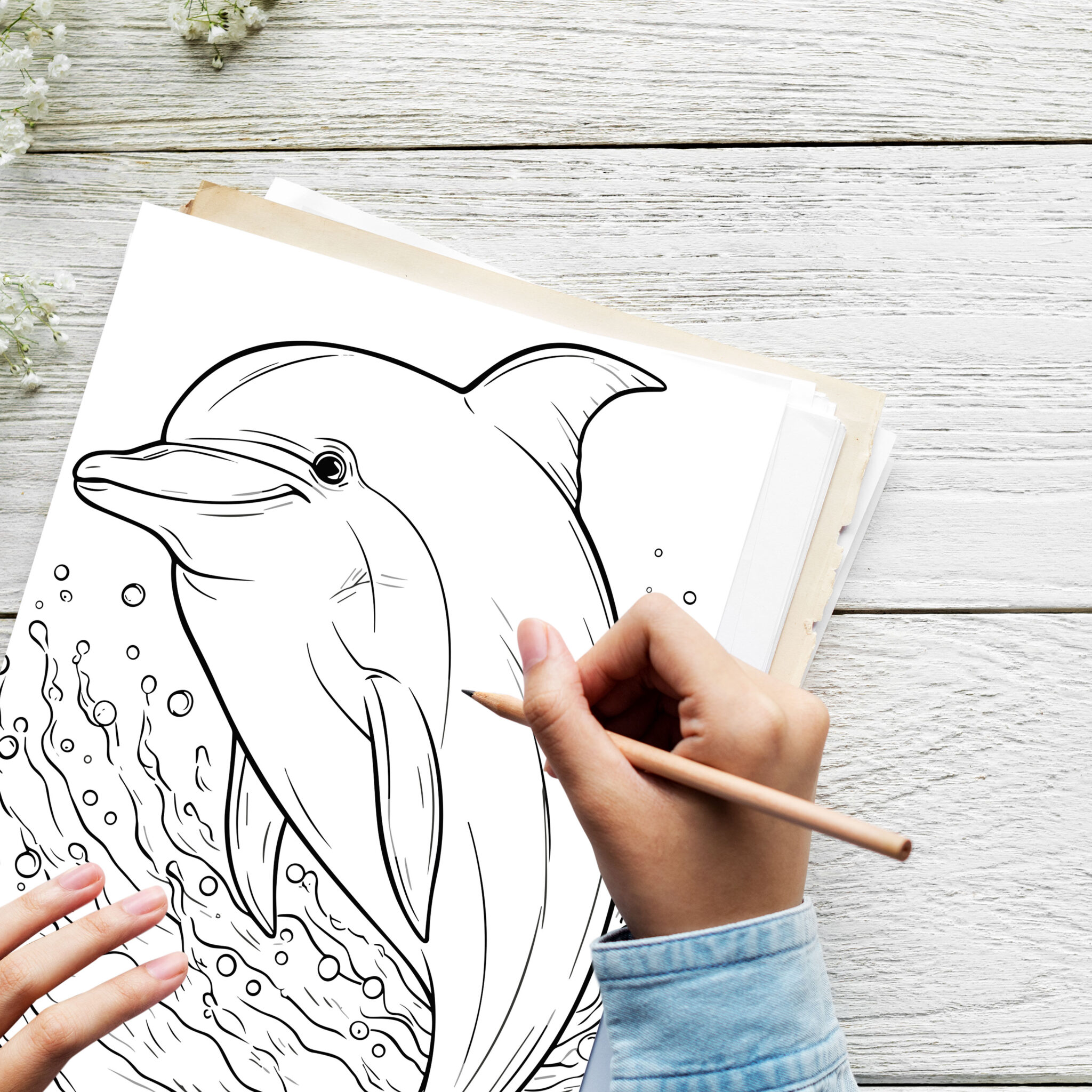 Delightful Dolphin Coloring Pages | Fun for Kids