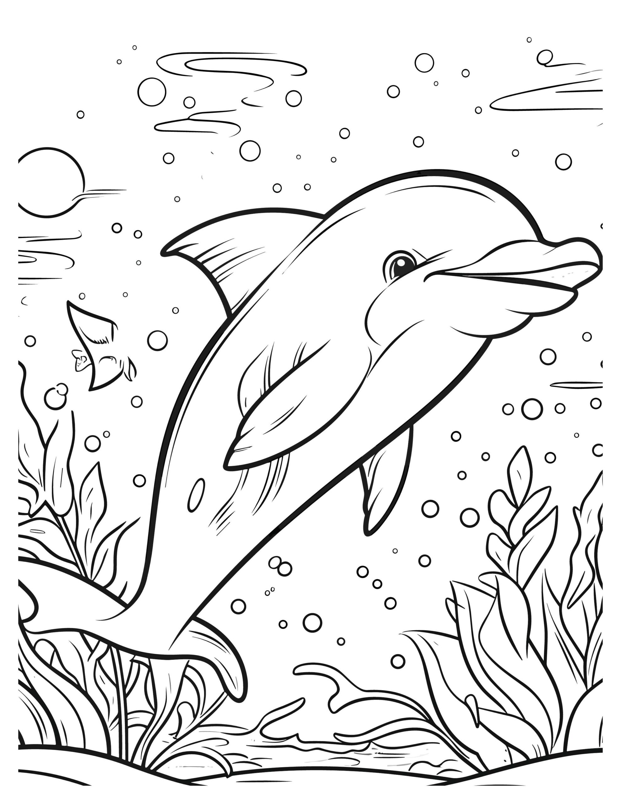Delightful Dolphin Coloring Pages | Fun for Kids