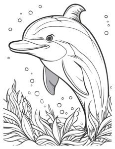 Delightful Dolphin Coloring Pages | Fun for Kids