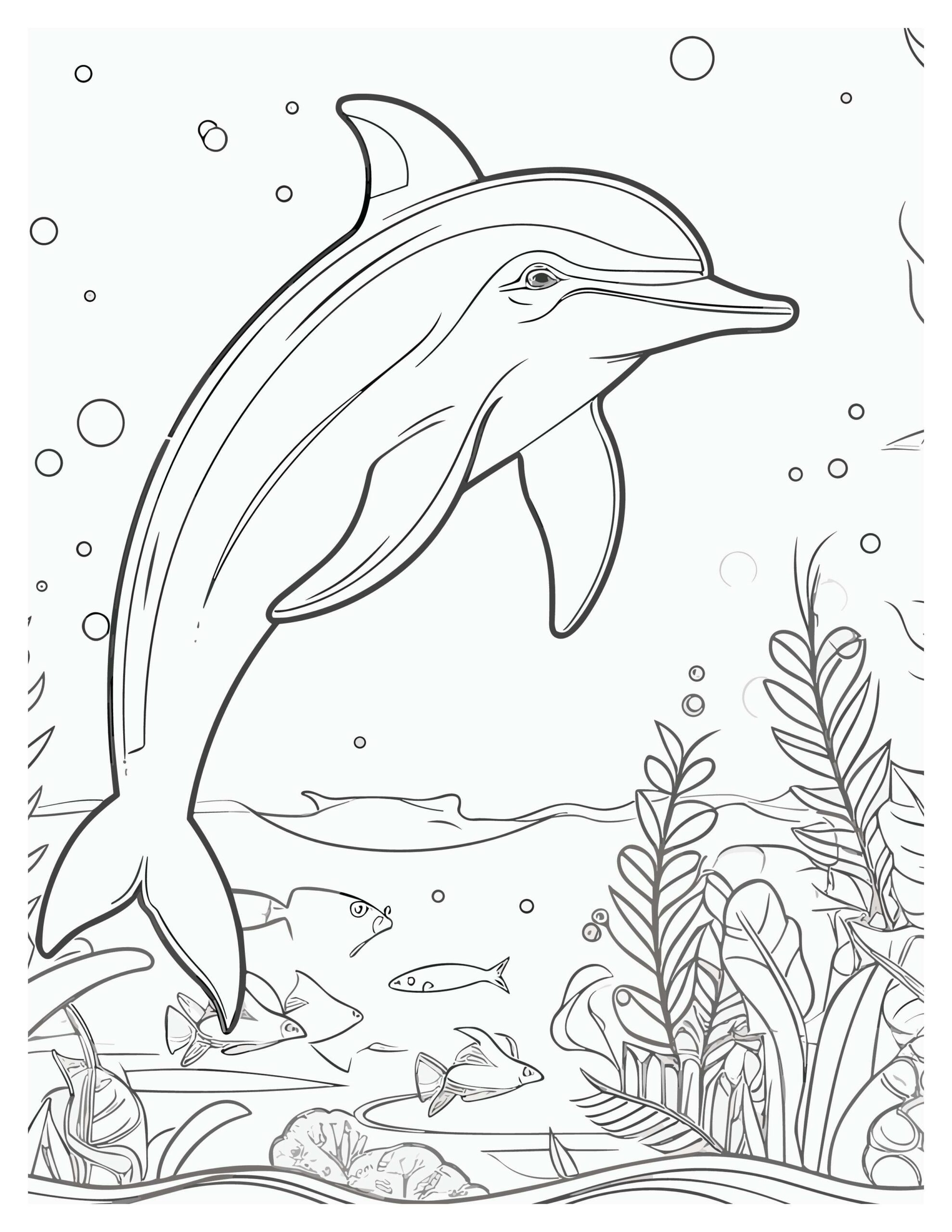 Delightful Dolphin Coloring Pages | Fun for Kids