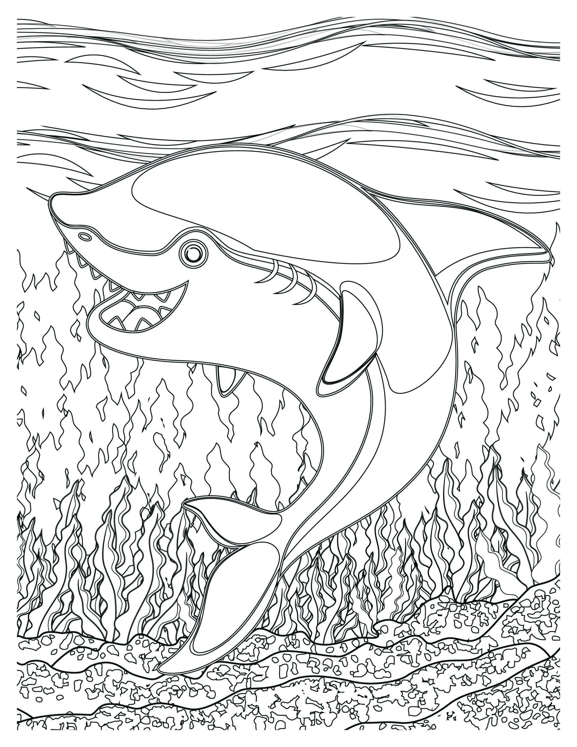Sharks Coloring Pages | Dive into Fun