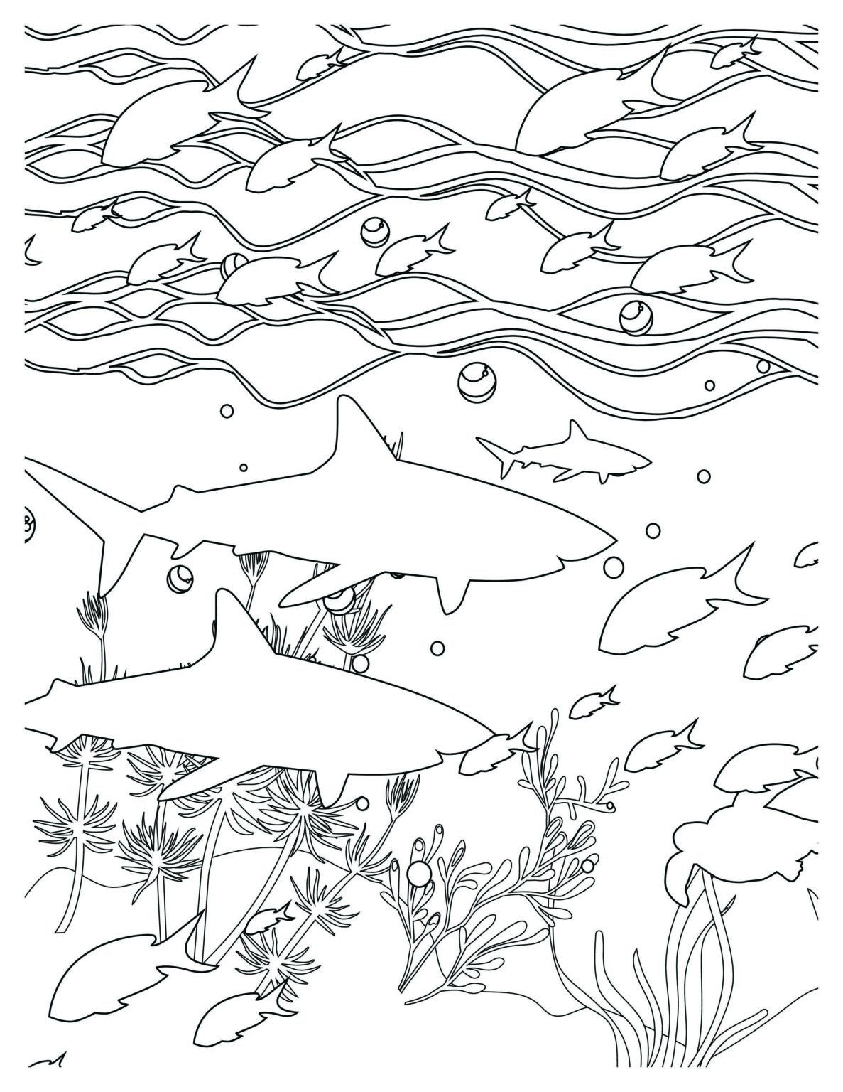 Sharks Coloring Pages | Dive into Fun