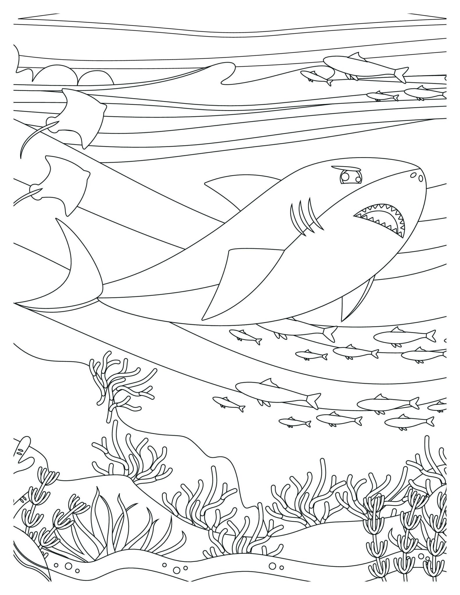 Sharks Coloring Pages | Dive into Fun