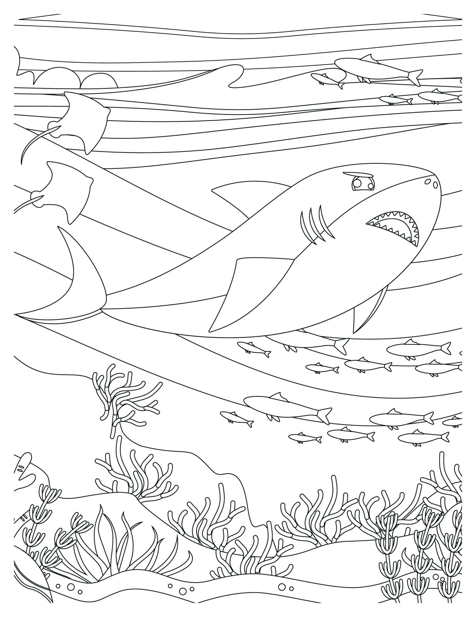 Sharks Coloring Pages | Dive into Fun
