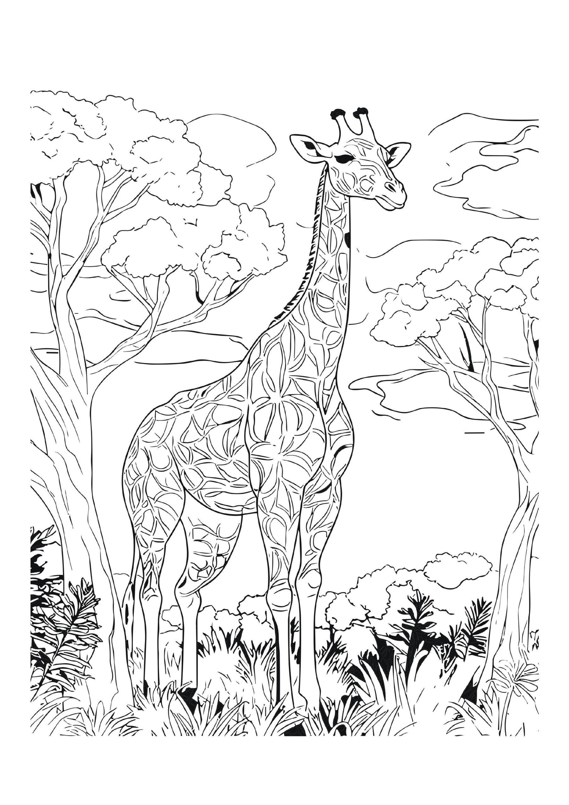 Towering Giraffe Coloring Pages I Tall and Majestic