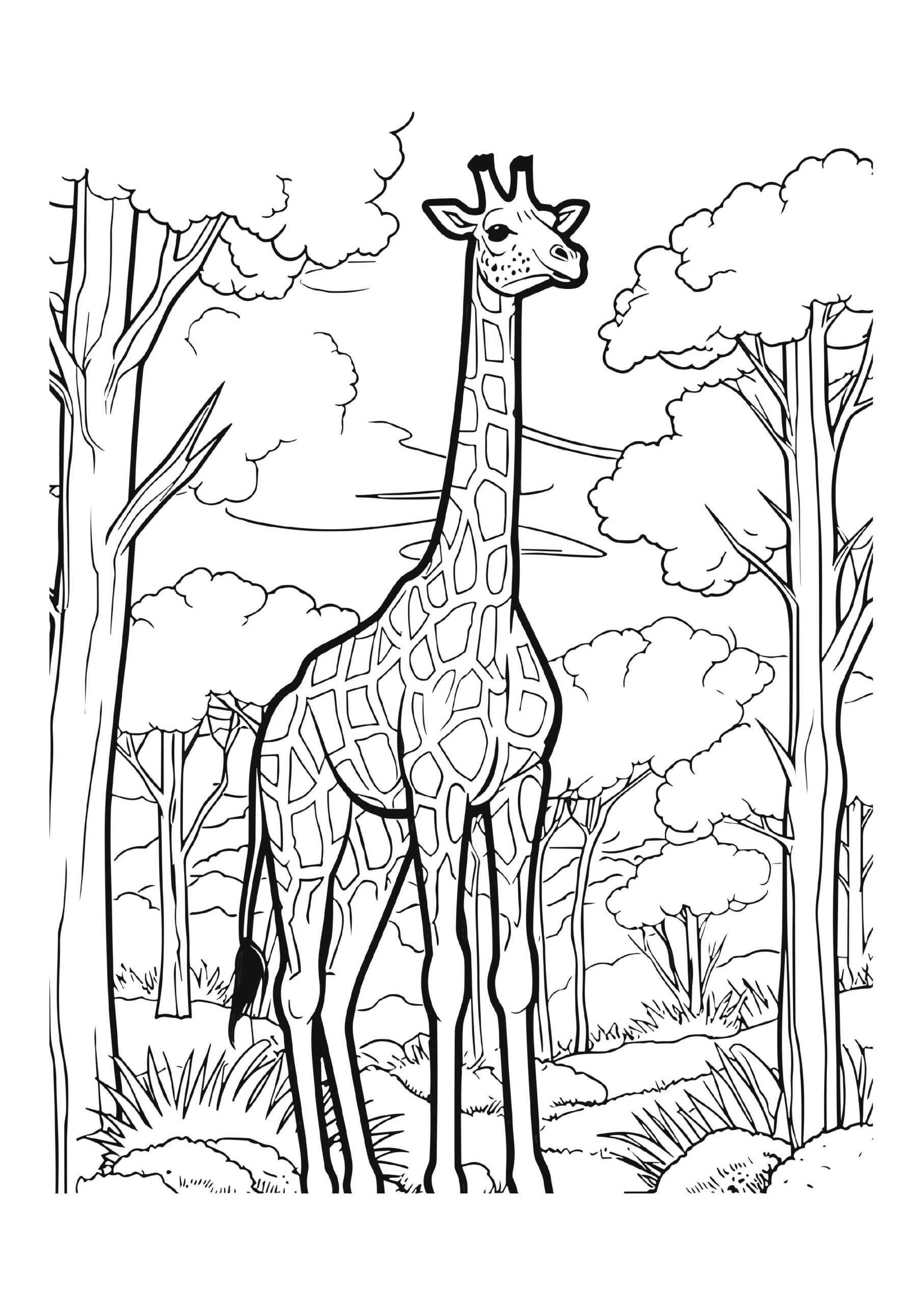 Towering Giraffe Coloring Pages I Tall and Majestic