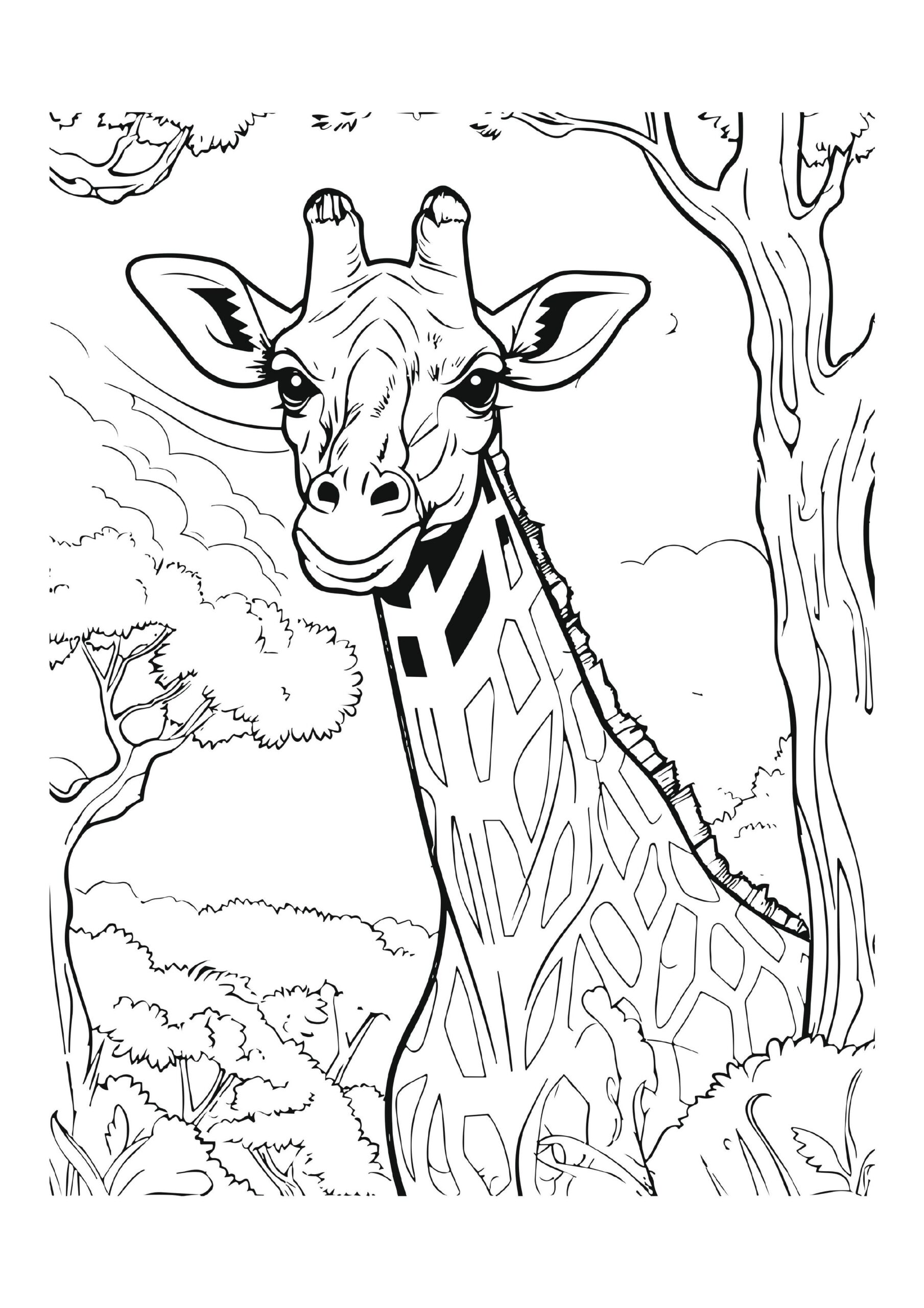 Towering Giraffe Coloring Pages I Tall and Majestic