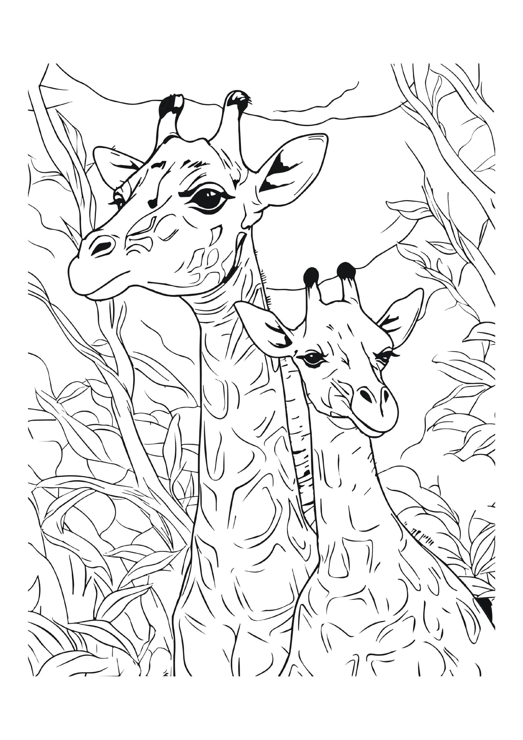 Towering Giraffe Coloring Pages I Tall and Majestic