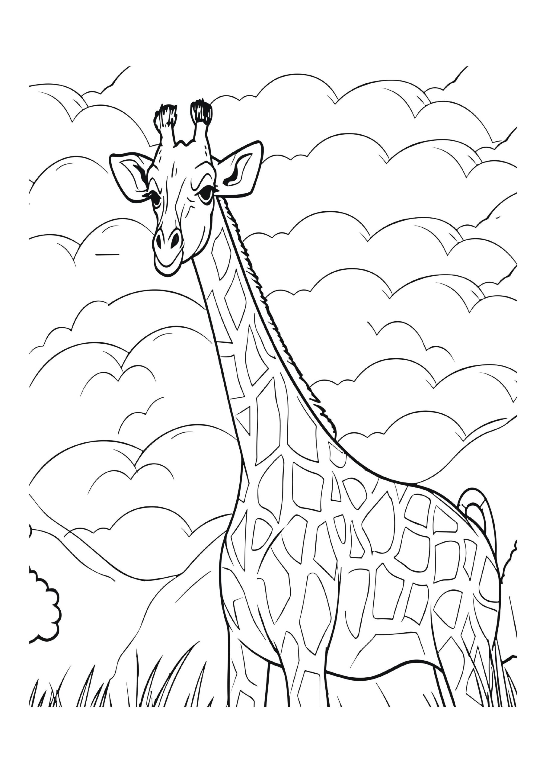 Towering Giraffe Coloring Pages I Tall and Majestic