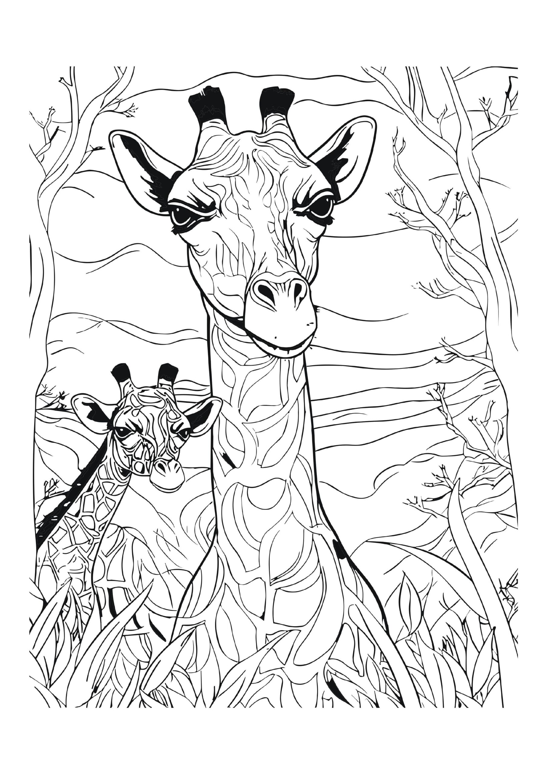 Towering Giraffe Coloring Pages I Tall and Majestic