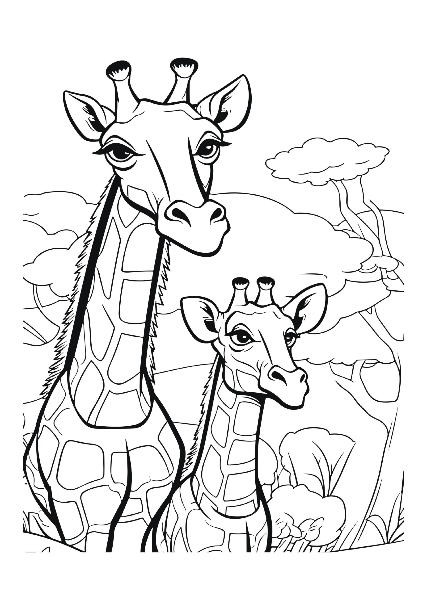 Towering Giraffe Coloring Pages I Tall and Majestic