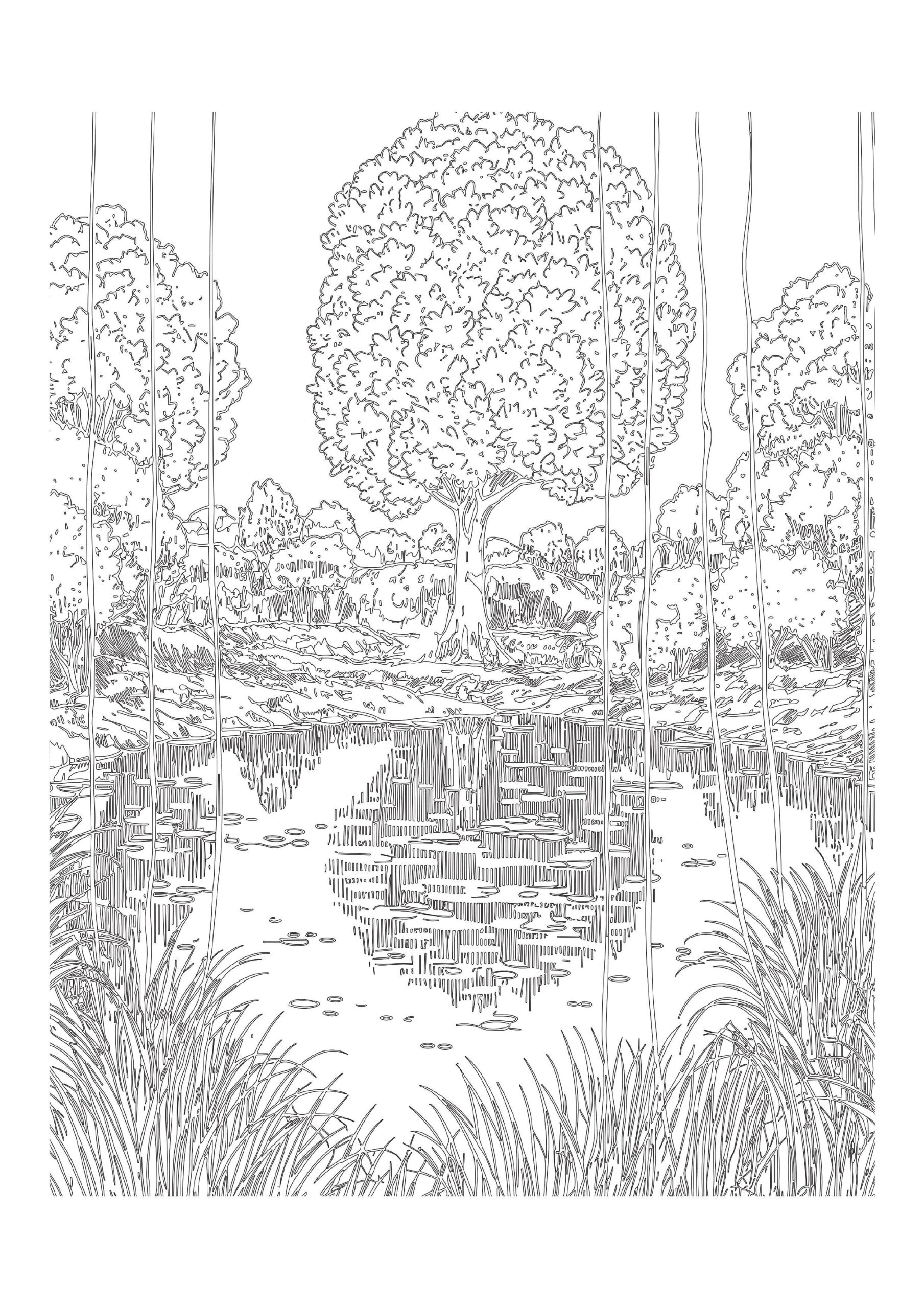 Blissful Scenes Coloring Pages: Serenity in Every Stroke