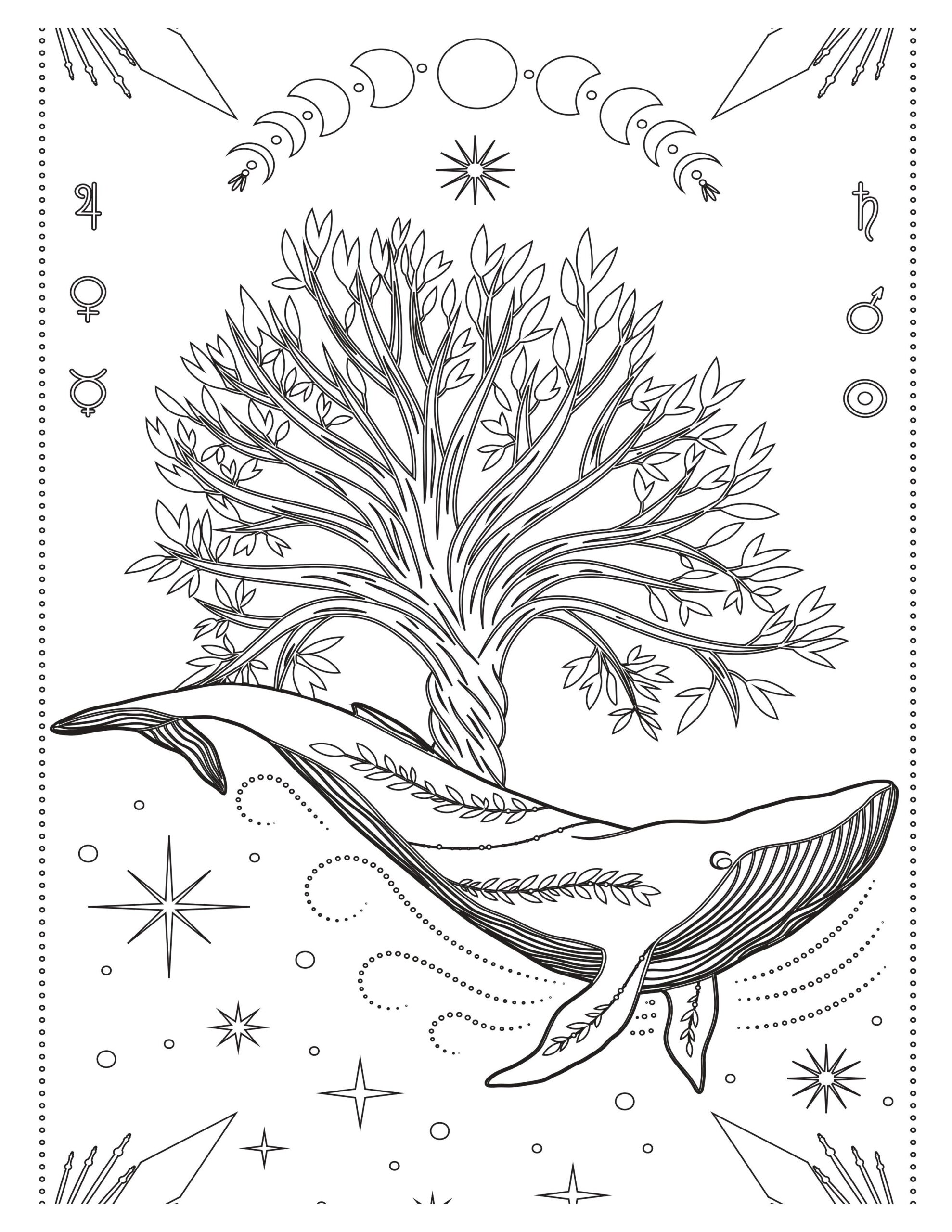 Tarot Magic Coloring Pages I Explore Mystical Worlds