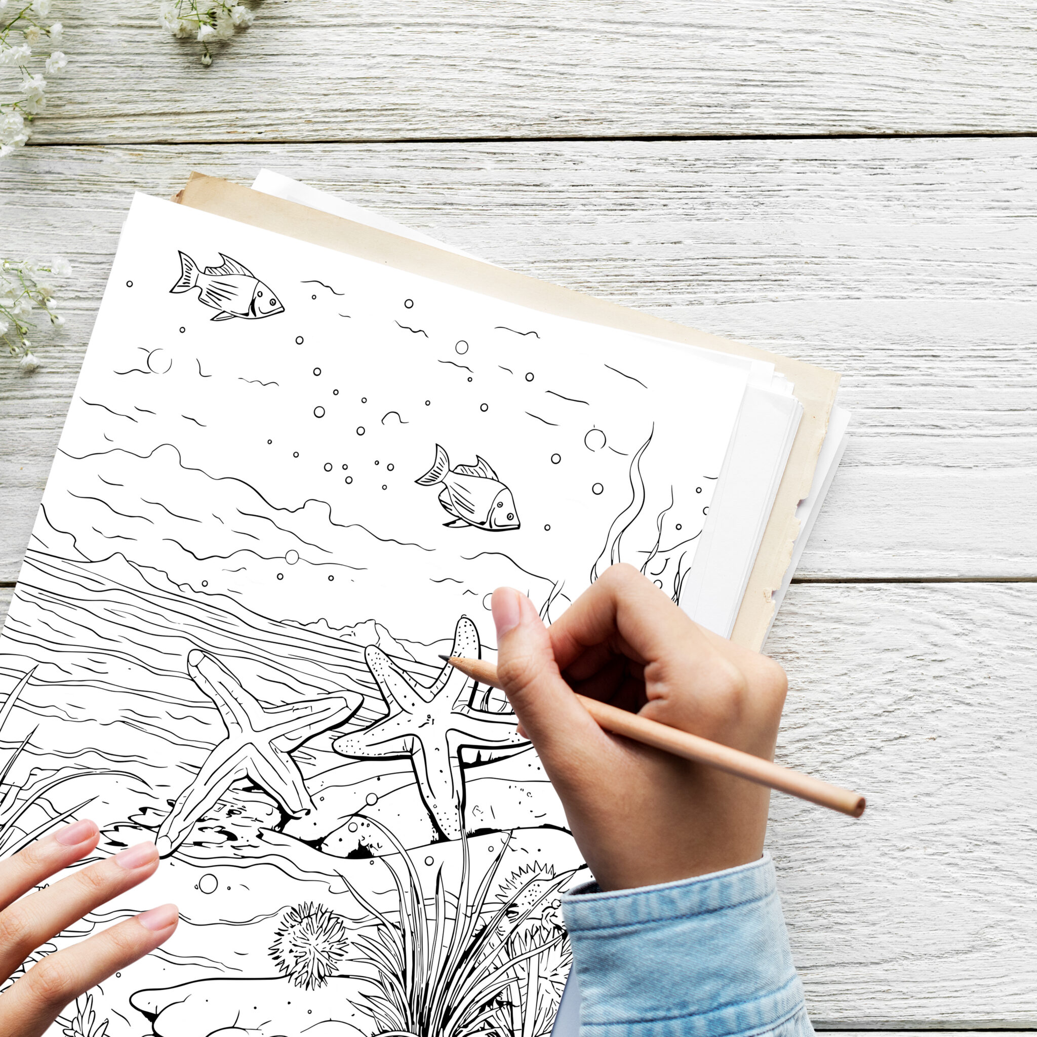 Majestic Underwater Kingdom Coloring Pages I Discover Serenity