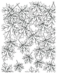 Falling Leaves Coloring Pages: Autumn Art For All Ages