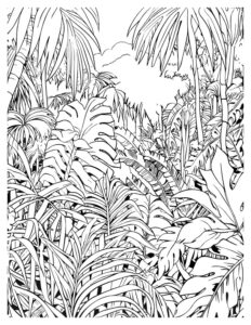 Tranquil Rainforest Canopy Coloring Pages For Nature's Beauty