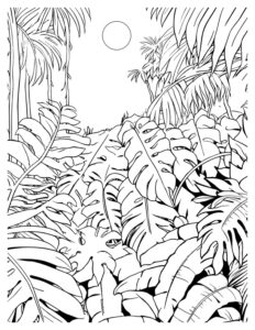 Tranquil Rainforest Canopy Coloring Pages For Nature's Beauty