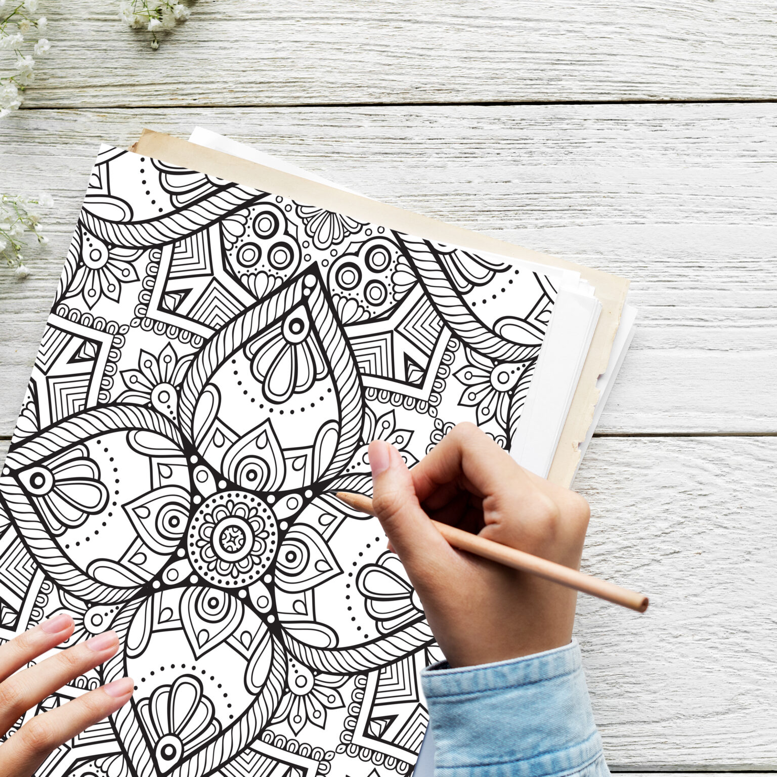 Mindful Mandala Garden Coloring Pages I Serene Escapes