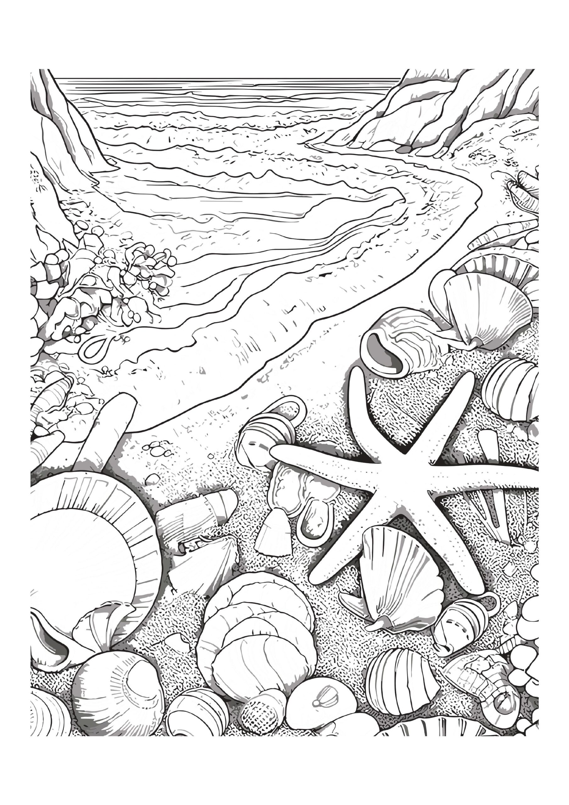 Seashell Treasures Coloring Pages I Beachside Bliss