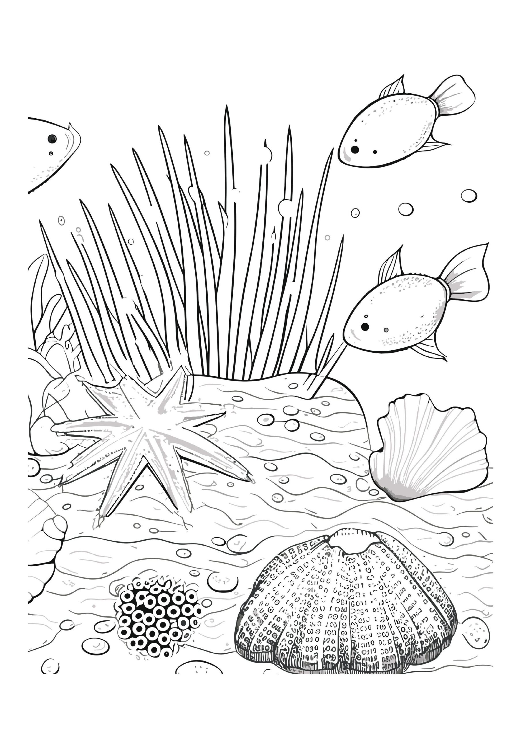 Seashell Treasures Coloring Pages I Beachside Bliss
