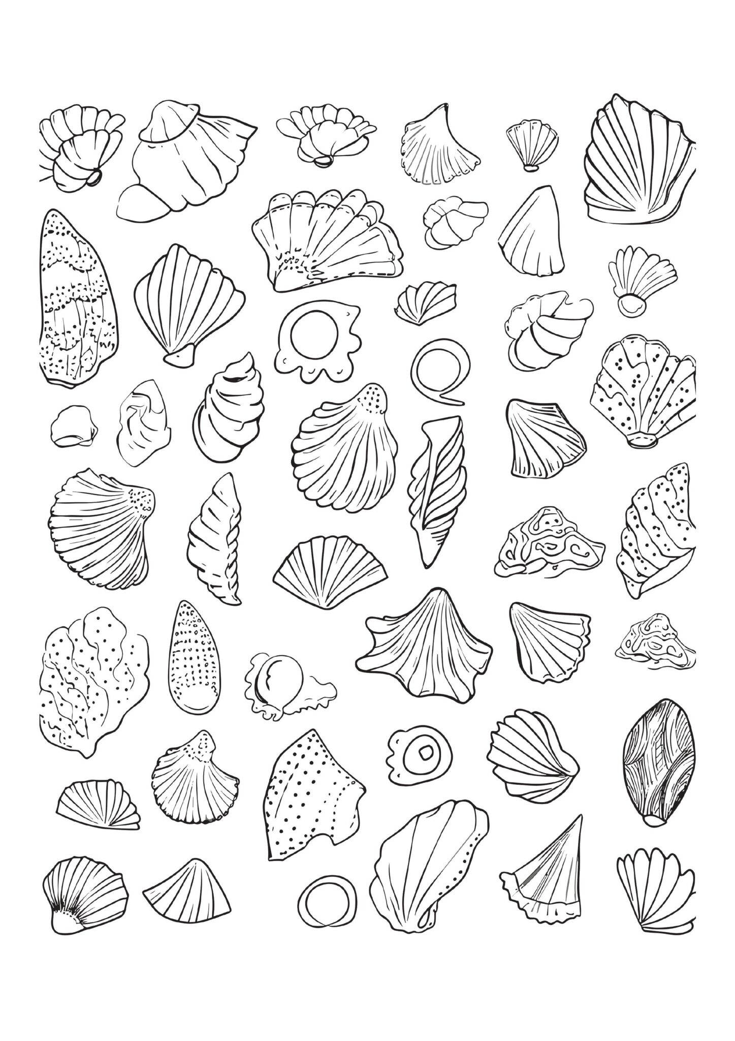 Seashell Treasures Coloring Pages I Beachside Bliss