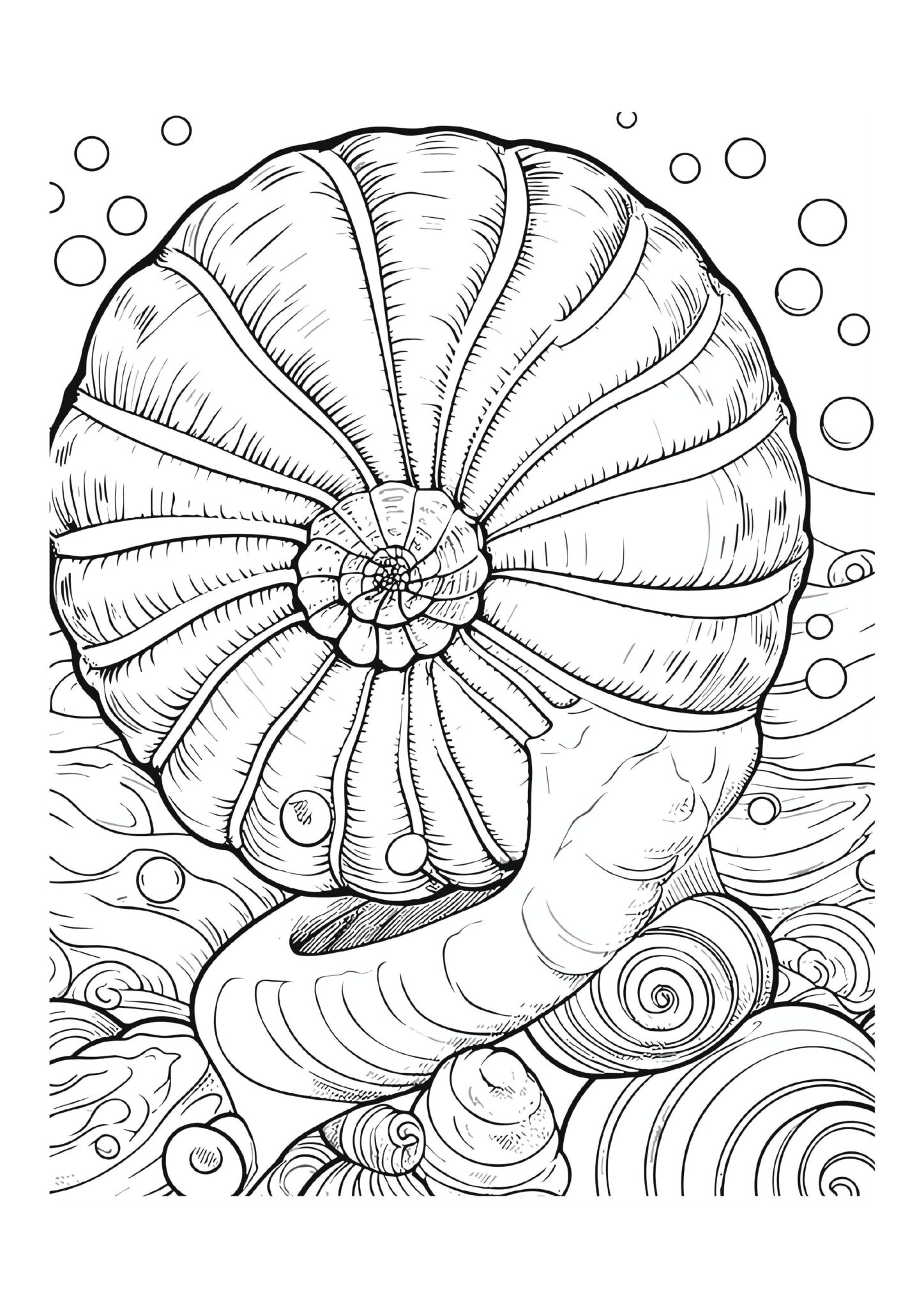 Seashell Treasures Coloring Pages I Beachside Bliss