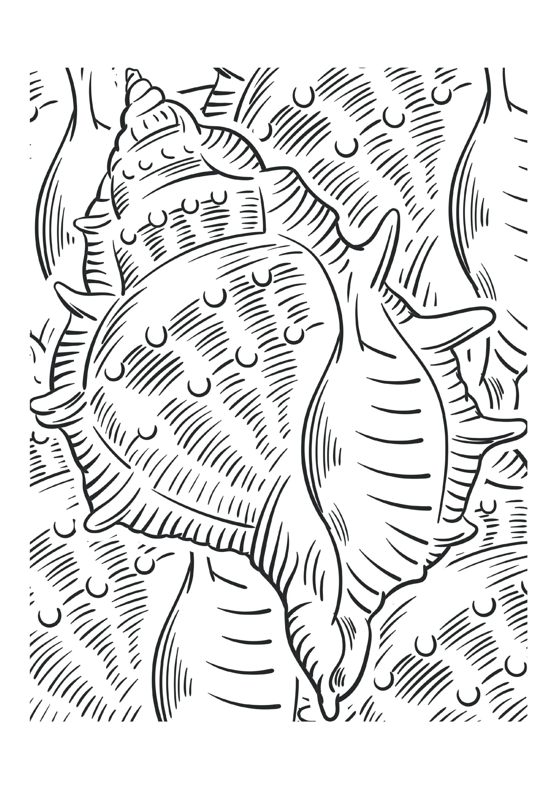 Seashell Treasures Coloring Pages I Beachside Bliss