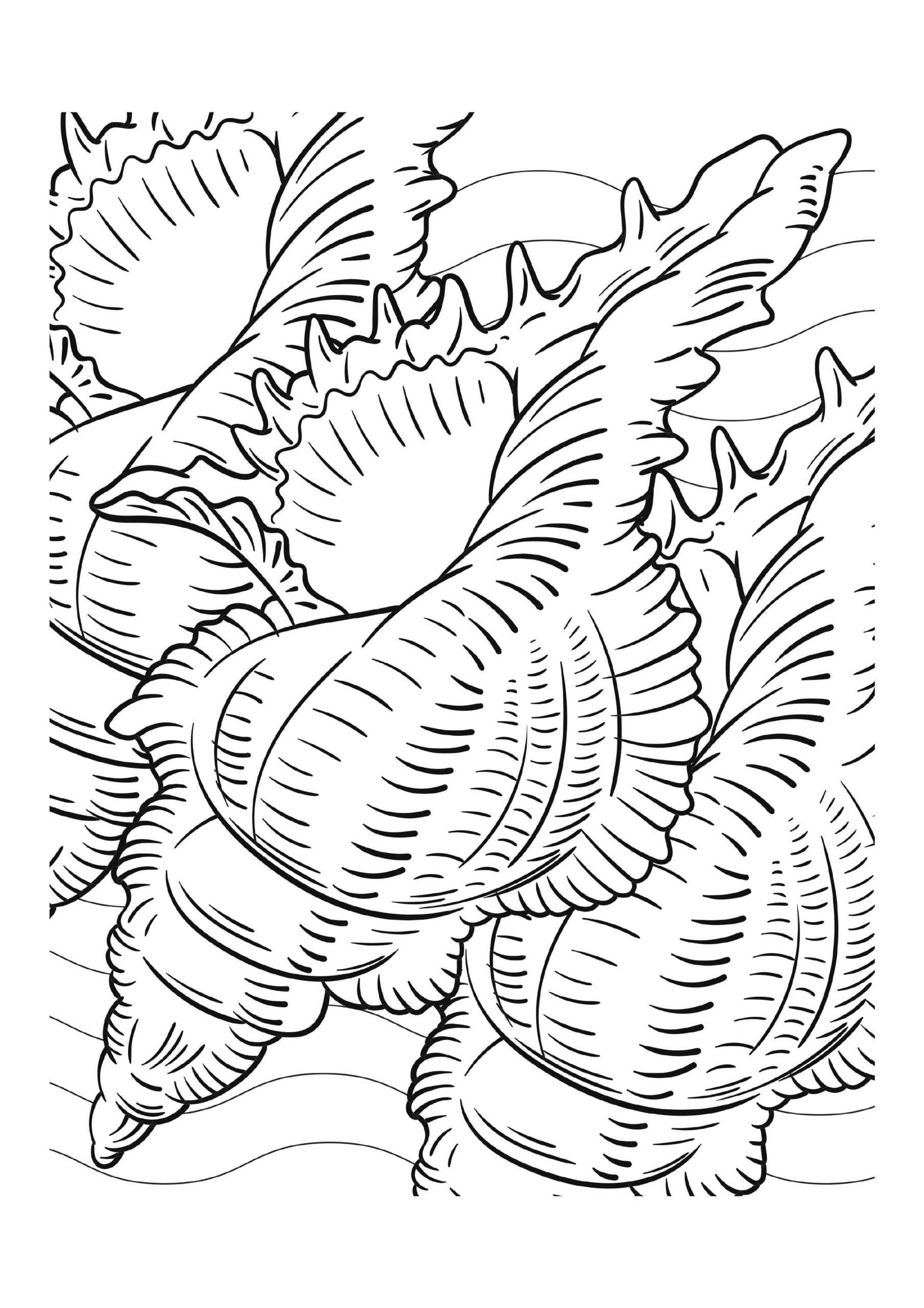 Seashell Treasures Coloring Pages I Beachside Bliss