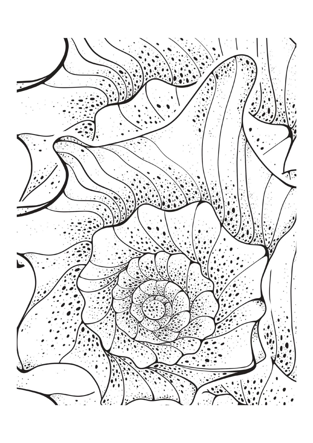 Seashell Treasures Coloring Pages I Beachside Bliss