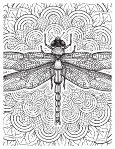 Graceful Dragonflies Coloring Pages: Delicate Designs for All Ages