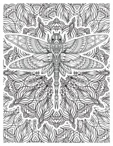 Graceful Dragonflies Coloring Pages: Delicate Designs for All Ages