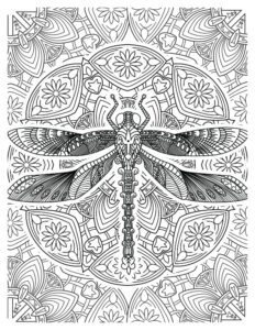Graceful Dragonflies Coloring Pages: Delicate Designs for All Ages
