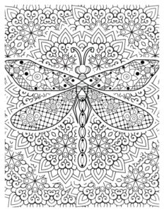 Graceful Dragonflies Coloring Pages: Delicate Designs for All Ages