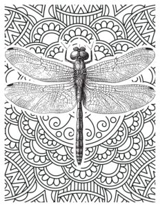 Graceful Dragonflies Coloring Pages: Delicate Designs for All Ages