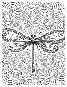 Graceful Dragonflies Coloring Pages: Delicate Designs for All Ages