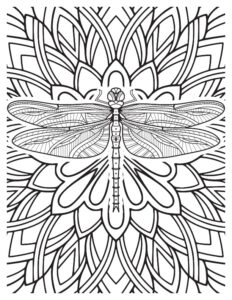Graceful Dragonflies Coloring Pages: Delicate Designs for All Ages