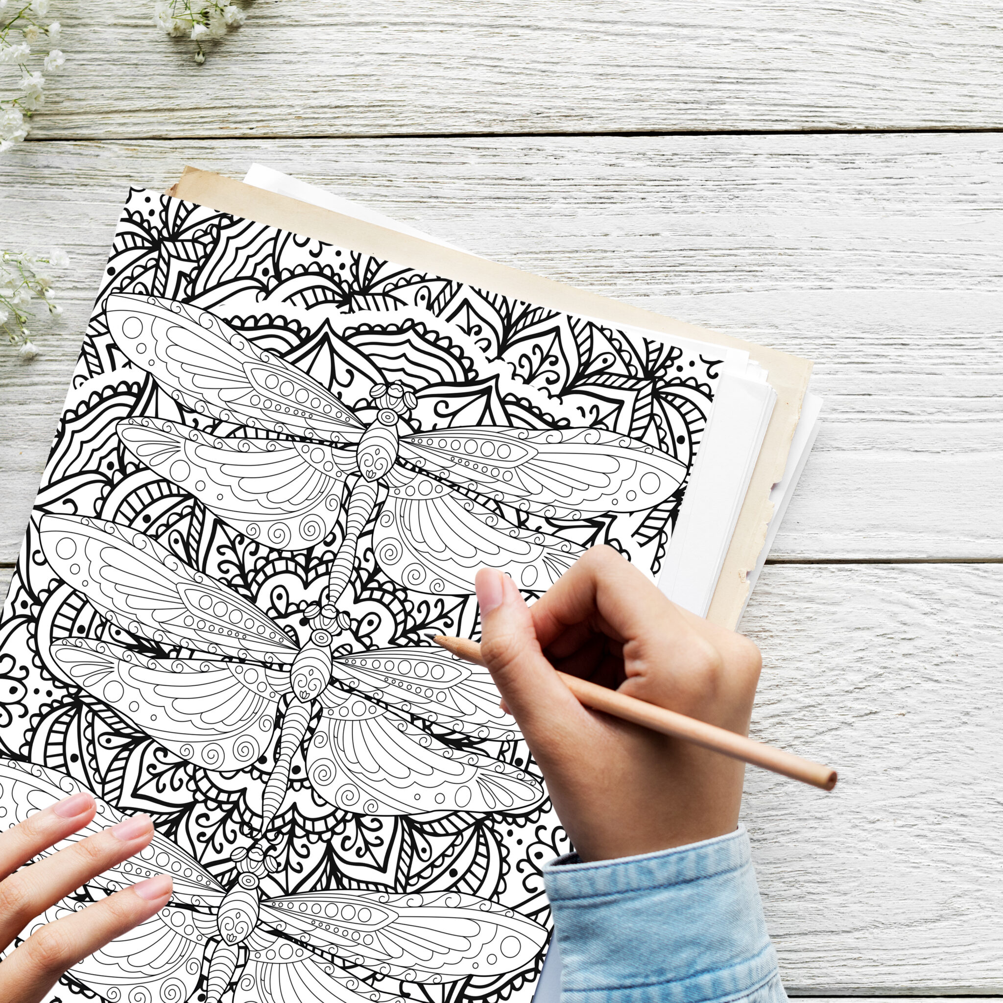 Graceful Dragonflies Coloring Pages: Delicate Designs for All Ages