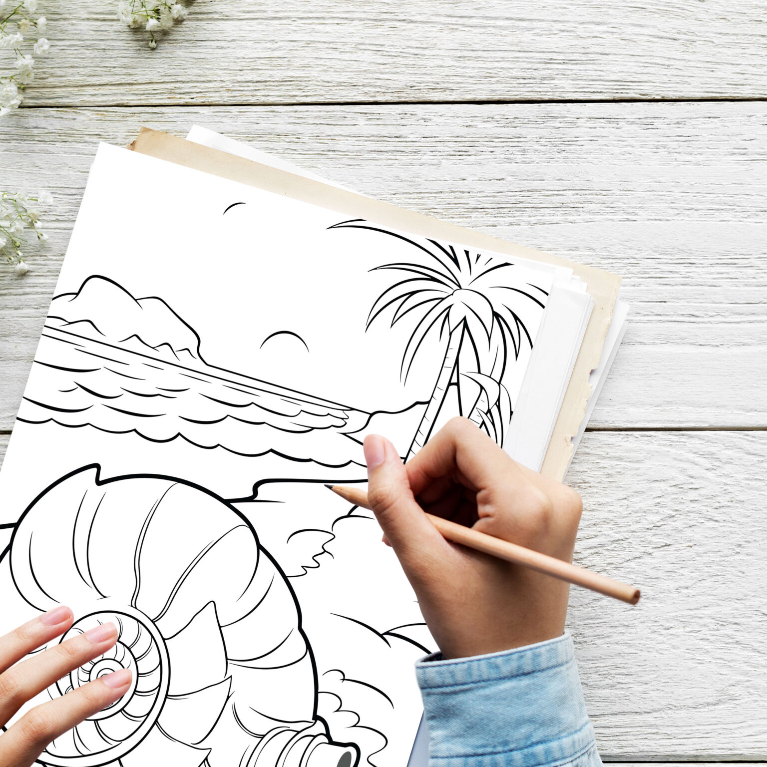 Seashell Treasures Coloring Pages I Beachside Bliss