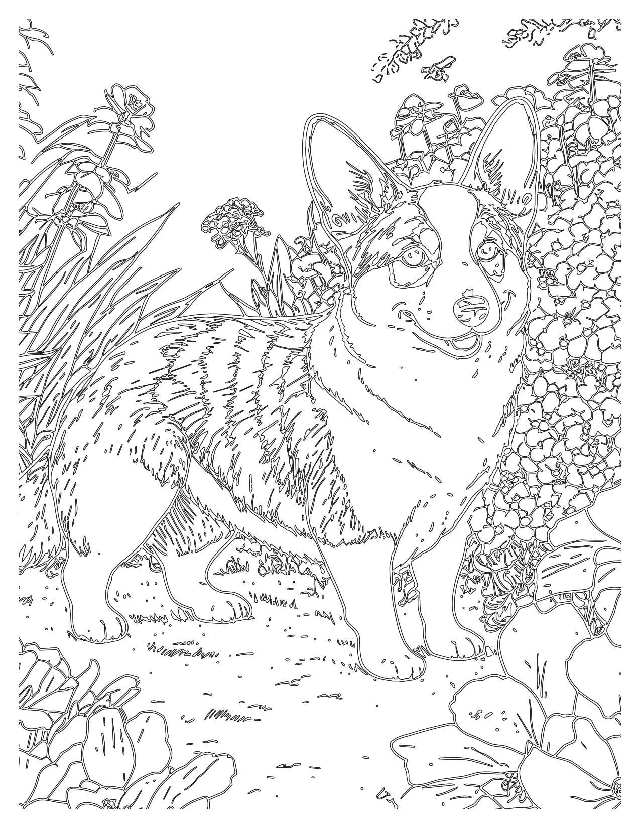 Corgi Cutie Coloring Pages Collection I Pawsitively Charming
