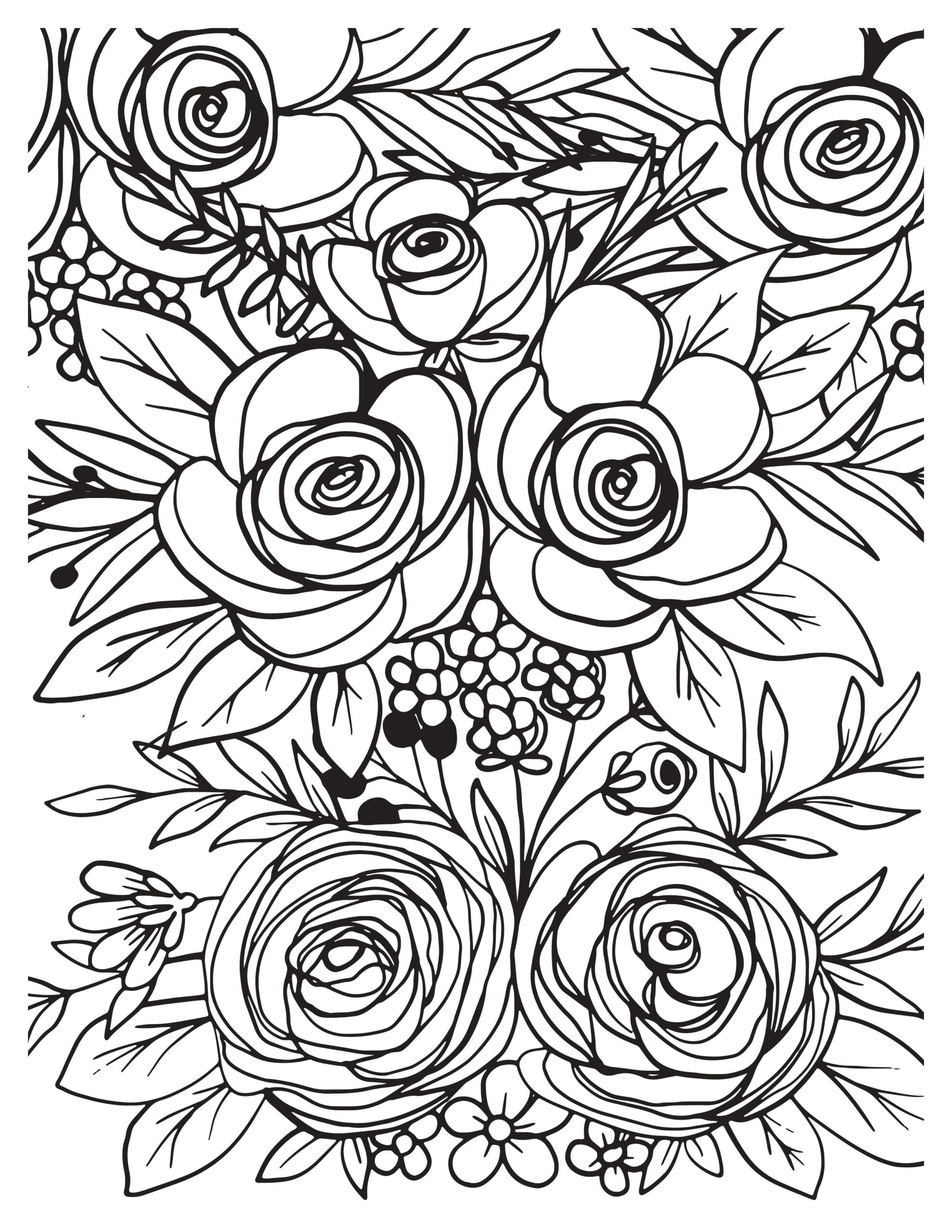 Blooming Rose Coloring Pages Collection I Garden Beauty