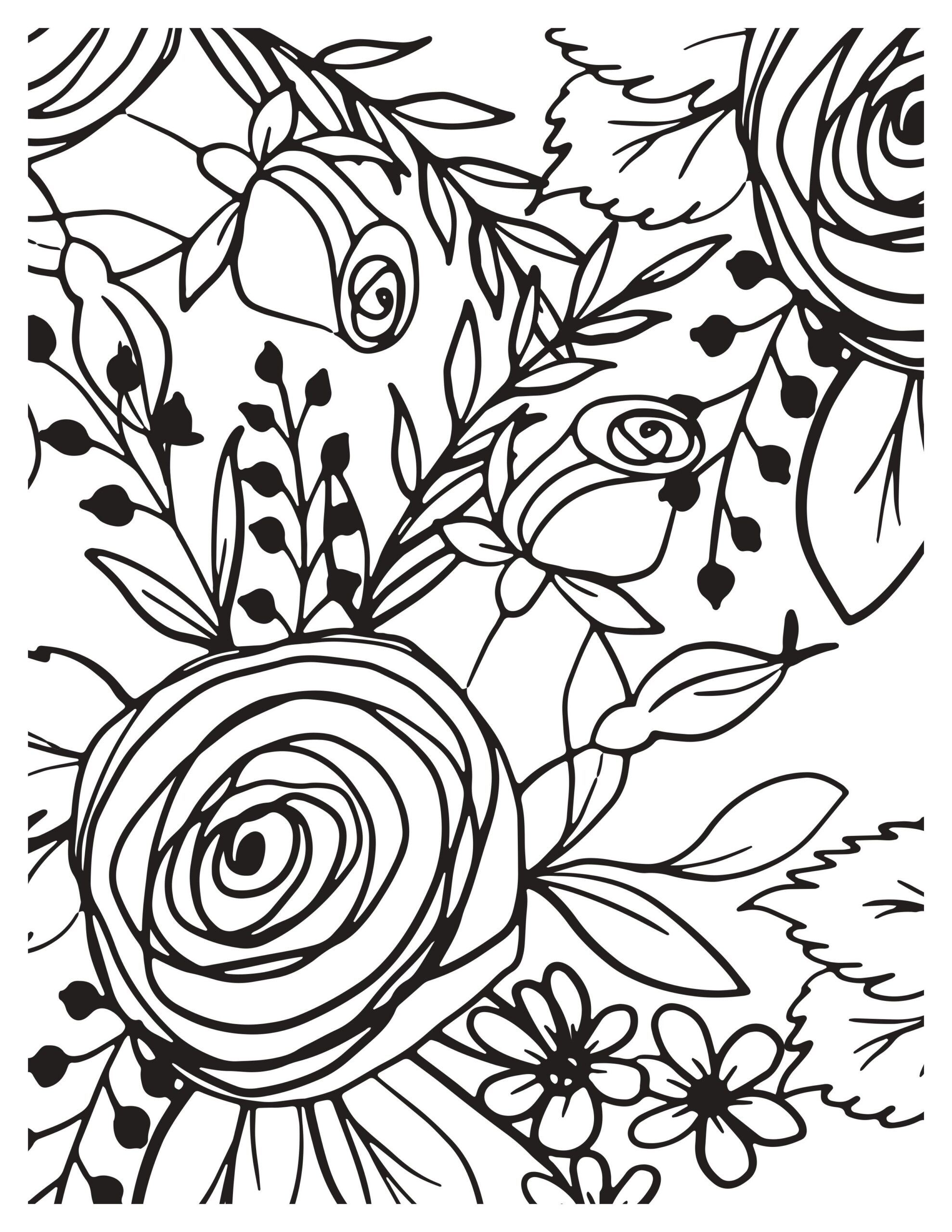 Blooming Rose Coloring Pages Collection I Garden Beauty