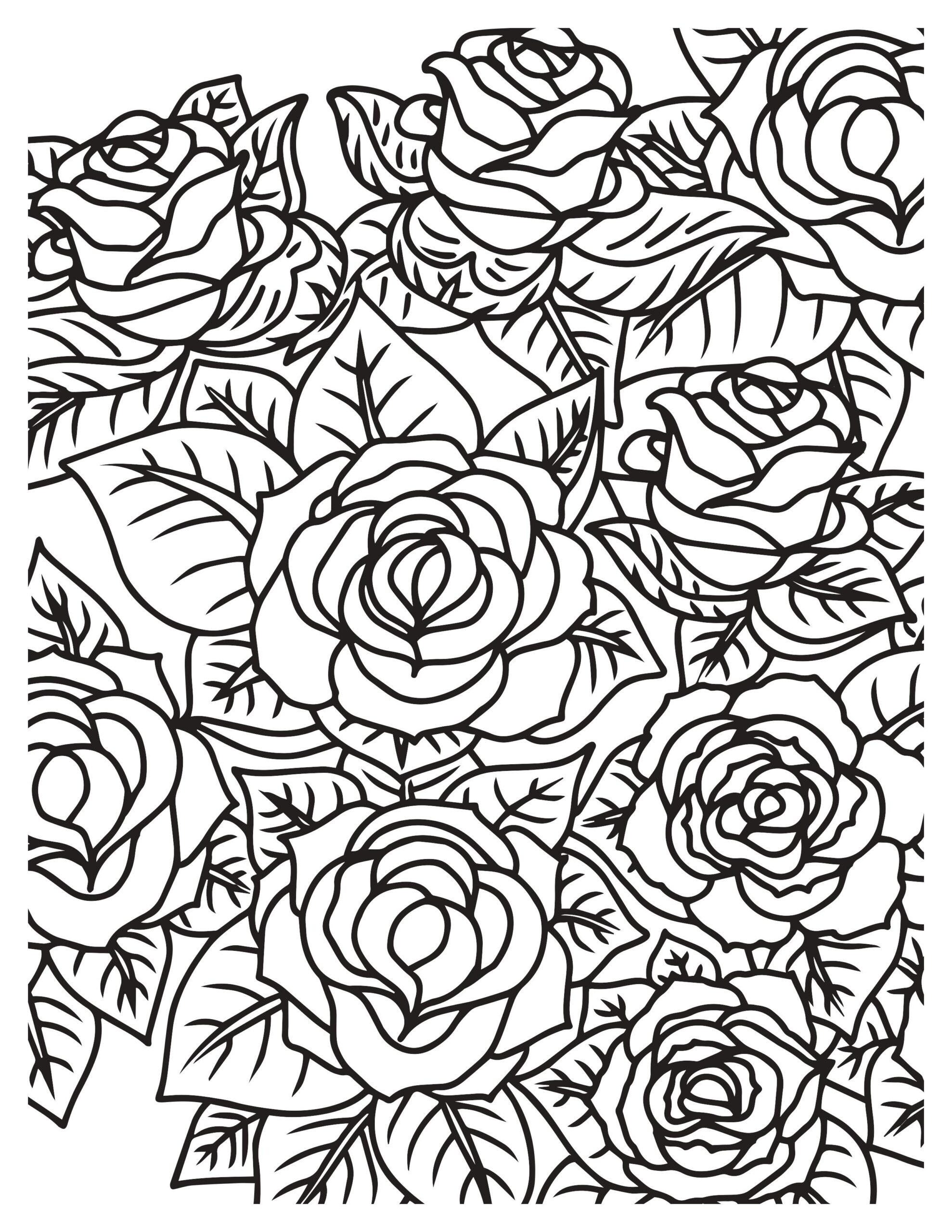 Blooming Rose Coloring Pages Collection I Garden Beauty