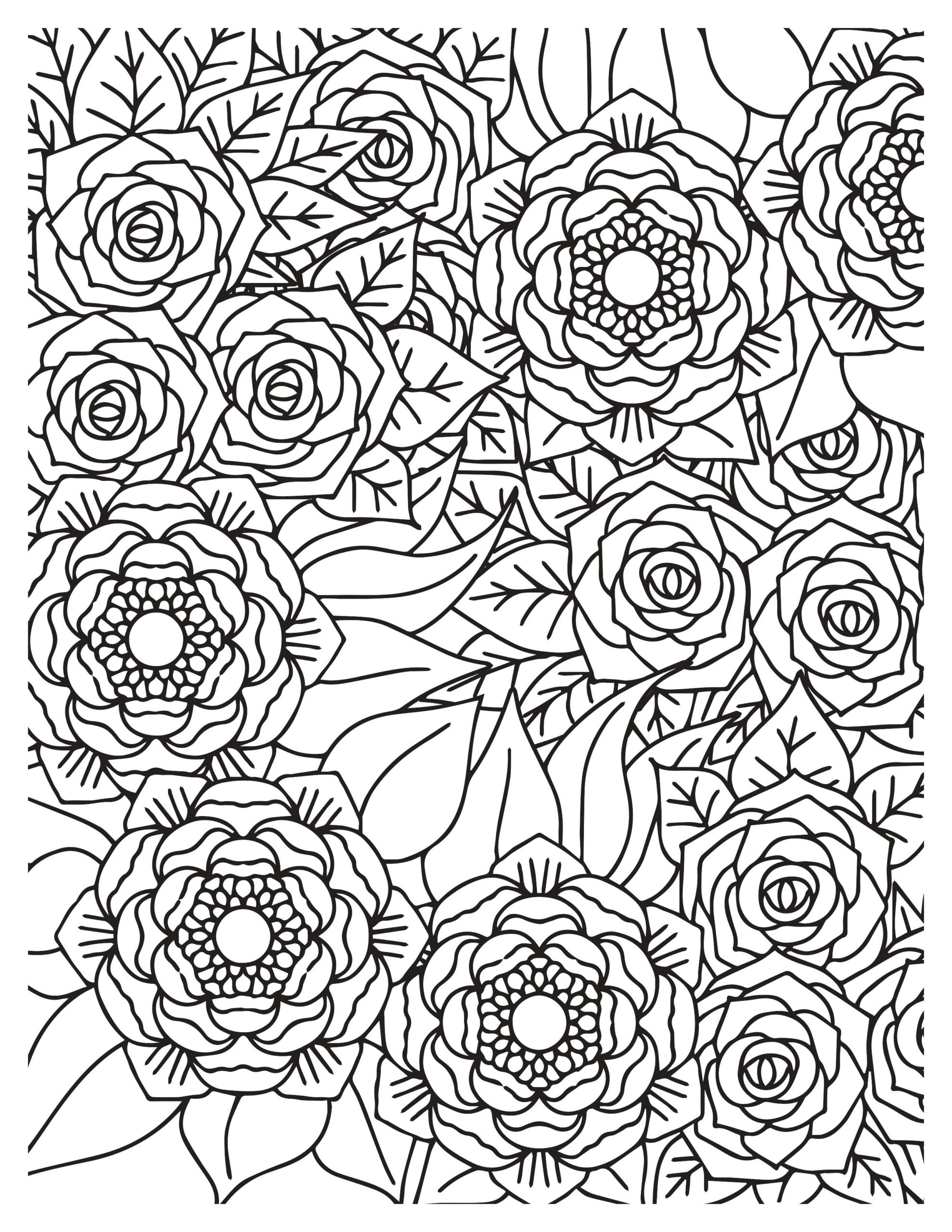 Blooming Rose Coloring Pages Collection I Garden Beauty