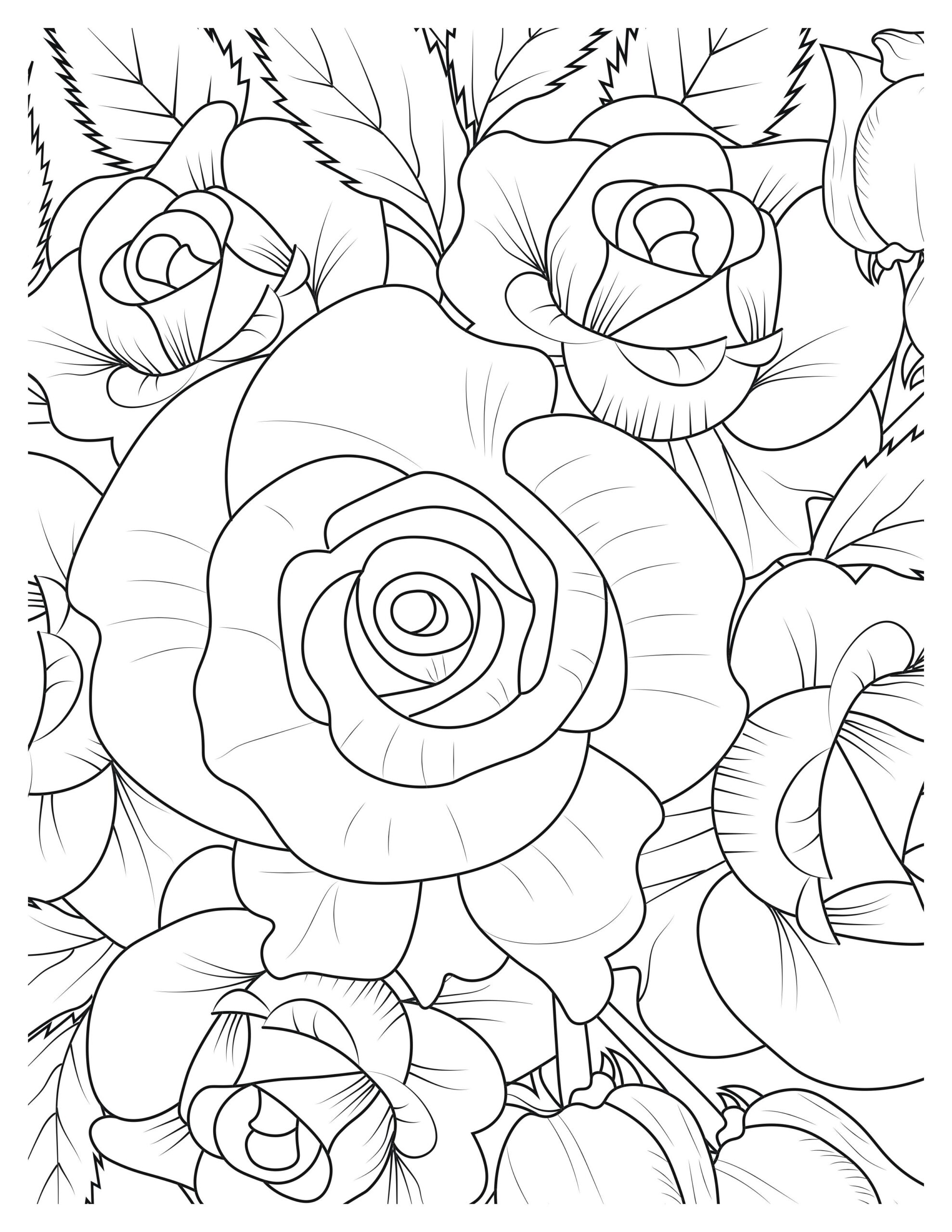 Blooming Rose Coloring Pages Collection I Garden Beauty